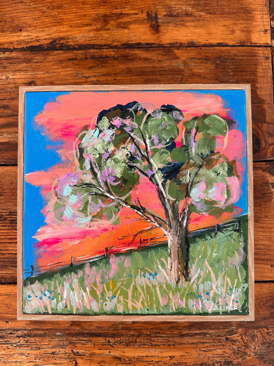“Home Among The Gum” – Jacinta Haycock Artist